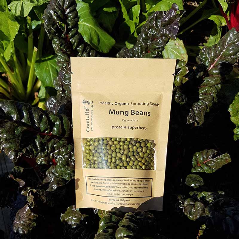 Organic MUNG Sprouting Seeds - 100grm Kraft Zip Lock Bag – GoodLife